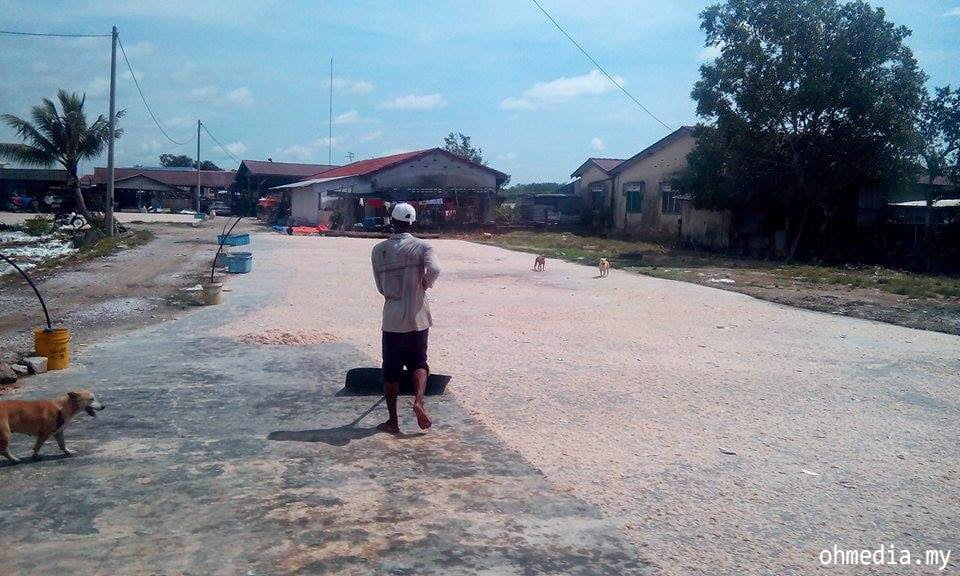 (Gambar) Proses Pembuatan Belacan Yang Menjijikkan | Umum - Oh! Media