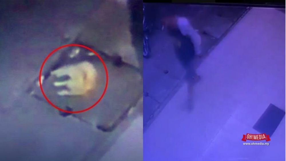 Kejam! Kucing Menggelupur Tahan Sakit Kena Hentak Dengan Batu | Oh ...